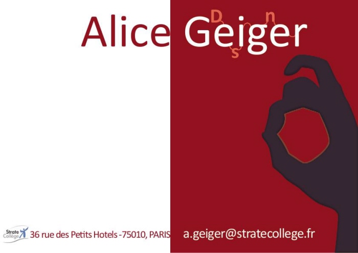 Book by Alice Geiger at Coroflot.com