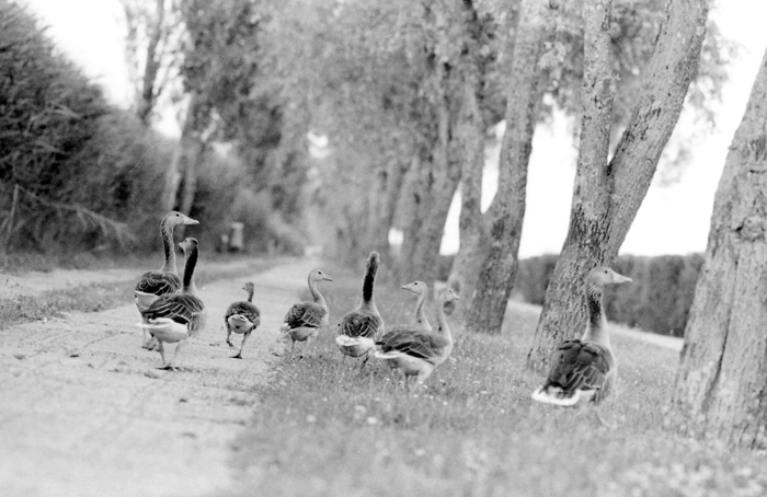 Analog Photos by Zoltan Major at Coroflot.com