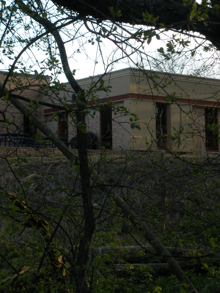 An upload by Ryan Gu on Coroflot: to the project Homage Shoot