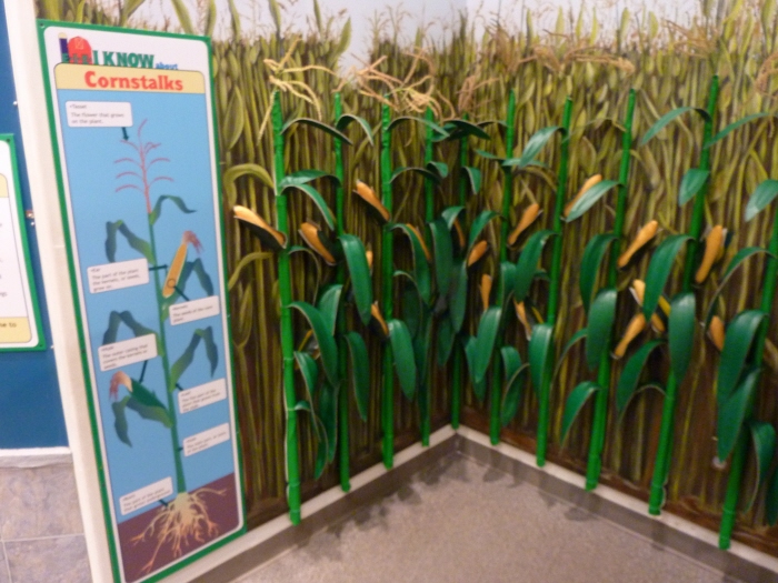 Farm Exhibit by Matthew Kilareski at Coroflot.com