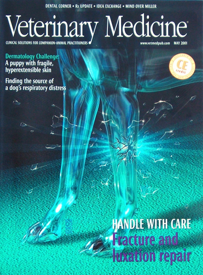 Publication Design by Matt Bilardo at Coroflot.com