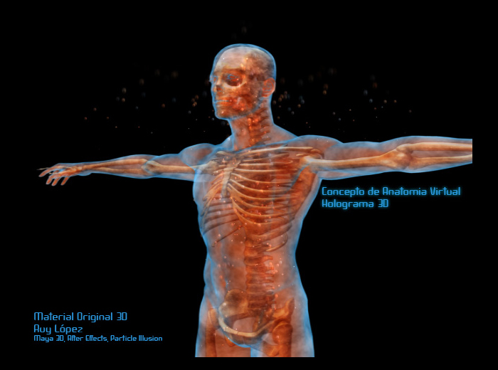 Anatomy 3D Animation by Ruy Lopez at Coroflot.com
