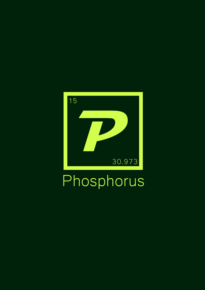 Phosphorus Logos by Abhinav Krishna at Coroflot.com