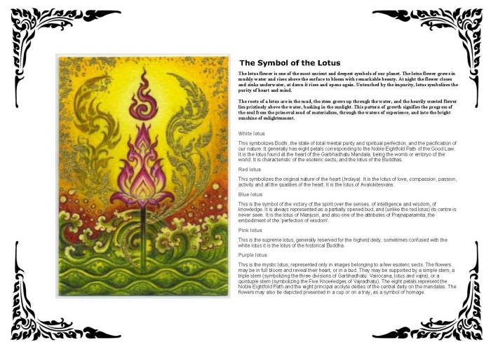 Lotus Chair Design by Nicholas Chuwattanakul at Coroflot.com