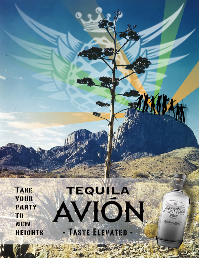 Tequila Avion Print Campaign by Elizabeth Nemeth at Coroflot.com