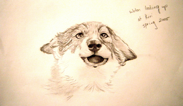 Wolves & Bison by Rebecca Davis at Coroflot.com