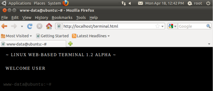 Linux Web Terminal by Danyal Isran at Coroflot.com