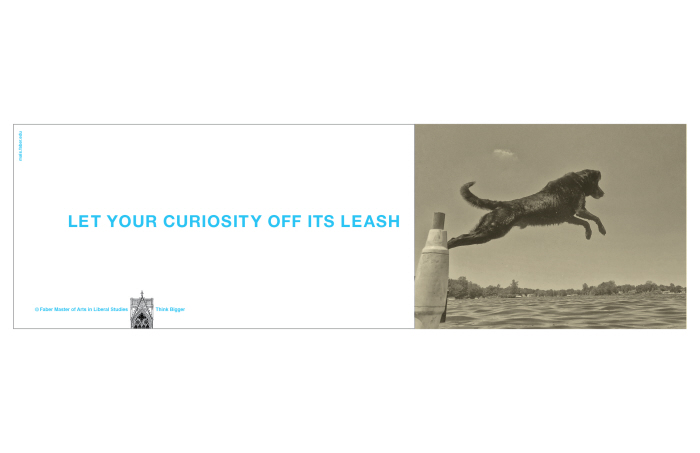 Faber University MALS Campaign by Tom Schmidt at Coroflot.com