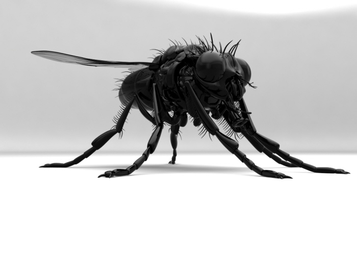 3D study "blackfly" by Márk Csikós at Coroflot.com