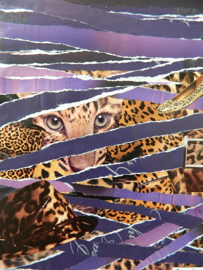 Multi Media Collages by Emily Royston at Coroflot.com