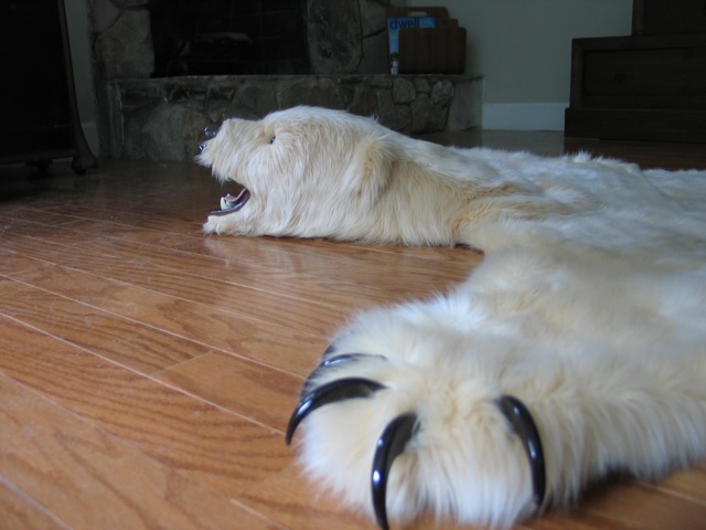 Faux Bearskin Rugs by C. Paige Moore at Coroflot.com