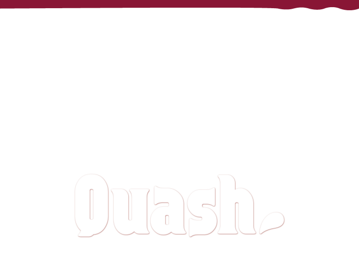 An upload by María Shumílova on Coroflot: to the project Quash branbook