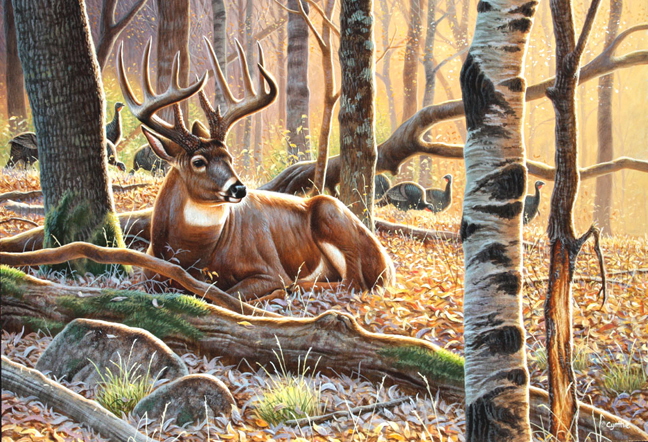 The art of Cynthie Fisher by Jon Wright at Coroflot.com