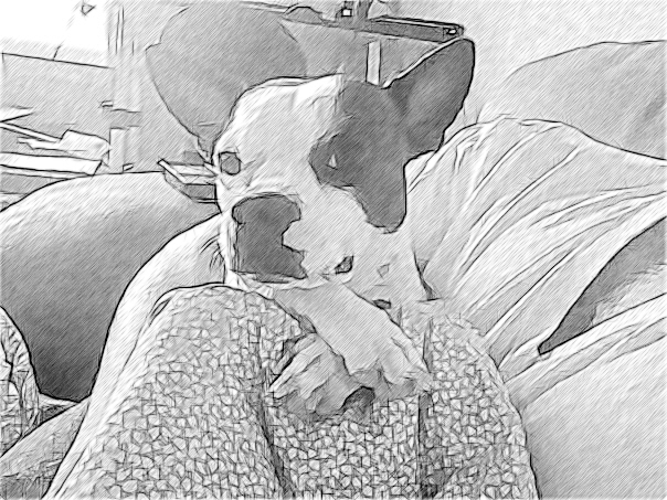 Random Sketches by Tony Conetta at Coroflot.com