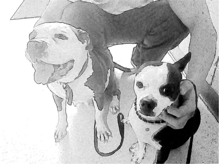 Random Sketches by Tony Conetta at Coroflot.com