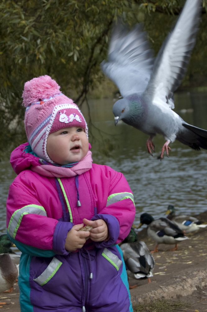 An upload by Andrei Rychkov on Coroflot: to the project Photograph