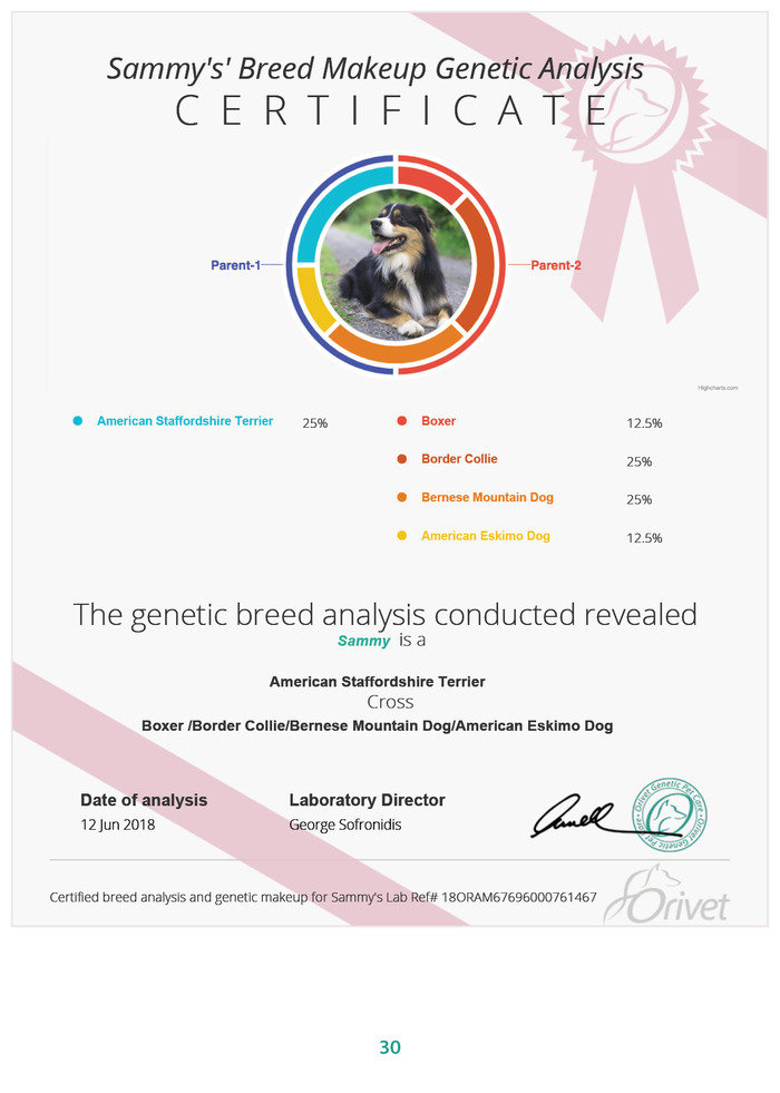 PDF design - Genetic Test Report brochure by Igor 'Nester' Nesterenko ...