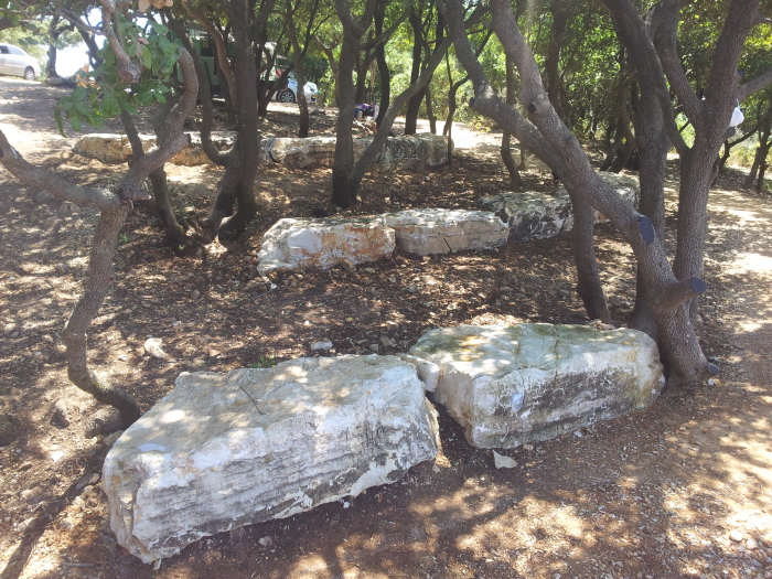 An upload by Amir Dominitz on Coroflot: to the project A Memorial for ...