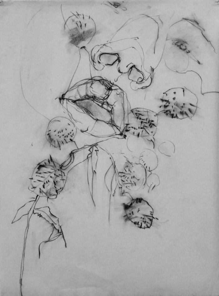 RISD Foundation: Drawing by Ming Hai at Coroflot.com