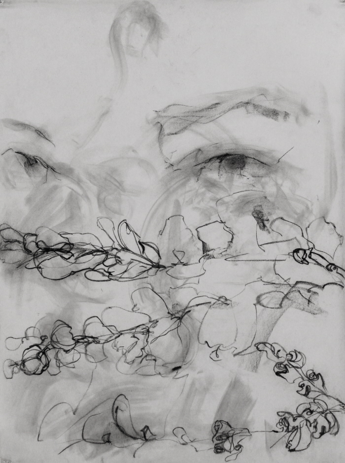 RISD Foundation: Drawing by Ming Hai at Coroflot.com
