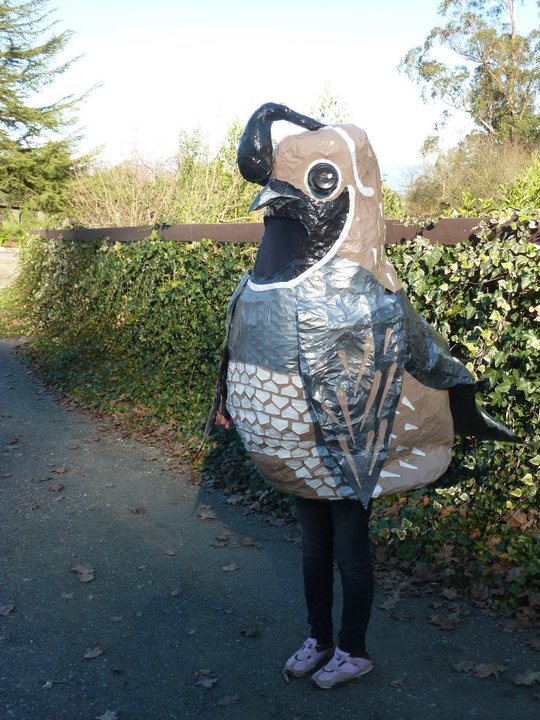 Quail Costume by Emily Robinson at Coroflot.com