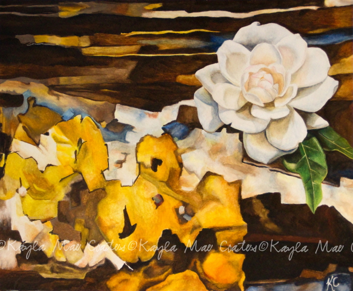 Create - Watercolors by Kayla Coates at Coroflot.com