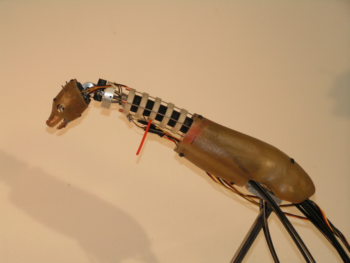 Animatronics Design by Jim Greenall at Coroflot.com