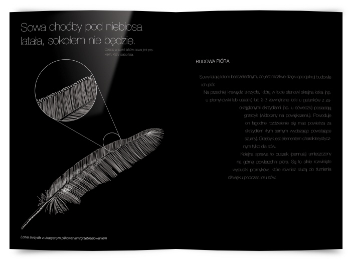 Anatomical atlas of the Owl by Lukasz Ostrowski at Coroflot.com