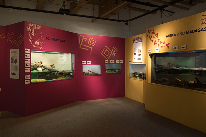 Mississippi River Museum by eric wold at Coroflot.com