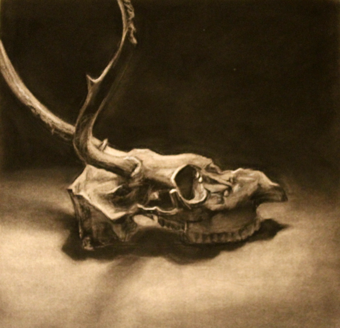 Charcoal Drawings by Daniel Domzalski at Coroflot.com