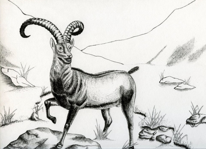 An upload by Daniel Domzalski on Coroflot: to the project Illustration