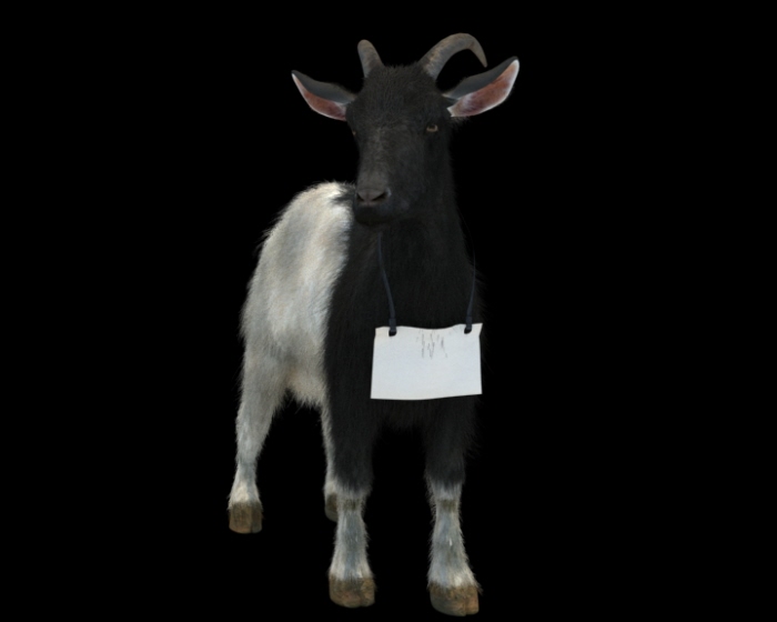 CG Goat by 3d Visuals at Coroflot.com