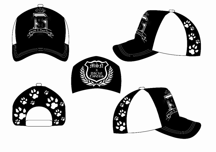 Ballcap Design by Zick Lin at Coroflot.com
