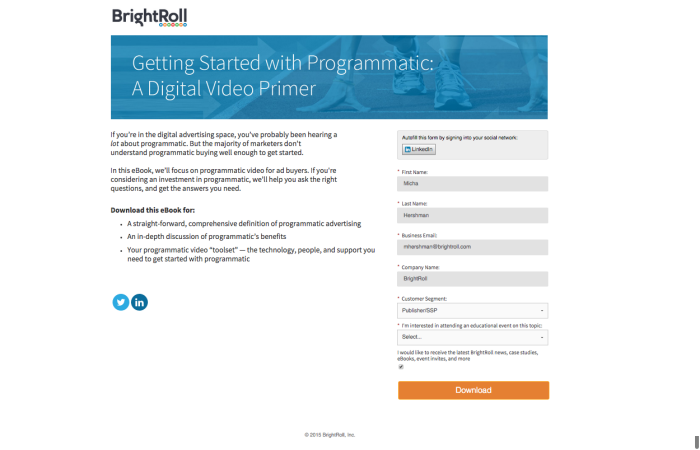 B2B Content Marketing at BrightRoll: Getting Started With Programmatic ...