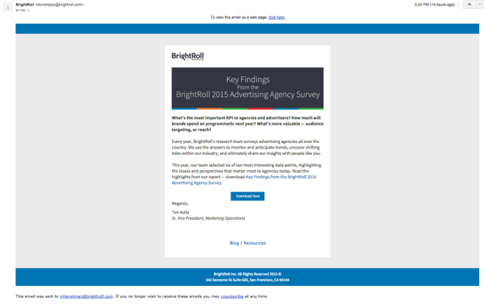 B2B Research and Thought Leadership: The 2015 BrightRoll Advertising ...