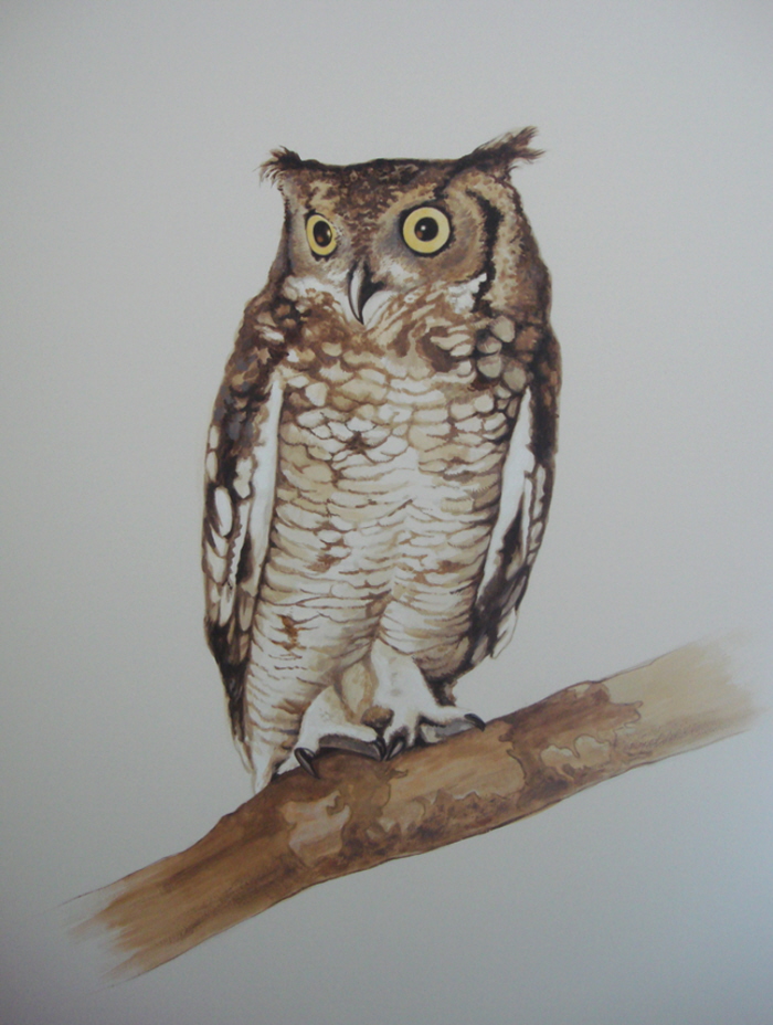 Wildlife Mural by Jeremy Jarvis - Jarvis Art Studio Inc. at Coroflot.com
