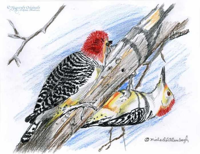 Illustrations by Michael Alumbaugh at Coroflot.com