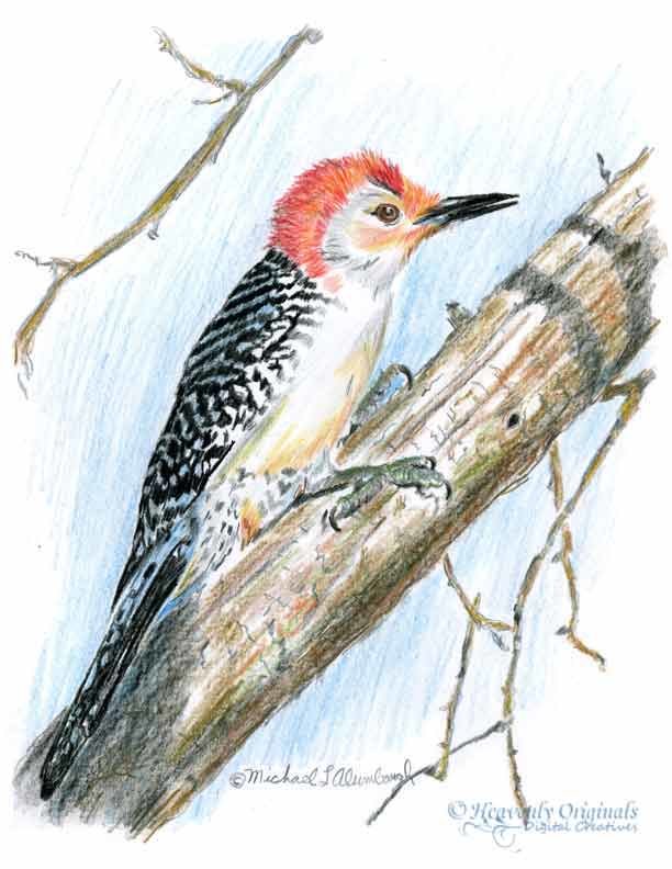 Illustrations by Michael Alumbaugh at Coroflot.com