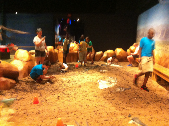 Dino Digs Dig Pit by Andrea Hart at Coroflot.com