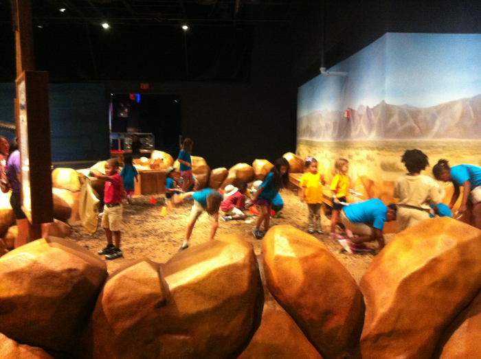 Dino Digs Dig Pit by Andrea Hart at Coroflot.com