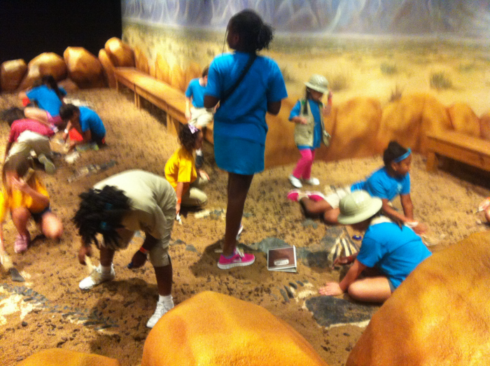 Dino Digs Dig Pit by Andrea Hart at Coroflot.com