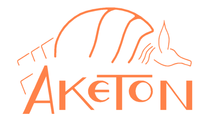 Aketon Logo by Sezar Montoya at Coroflot.com