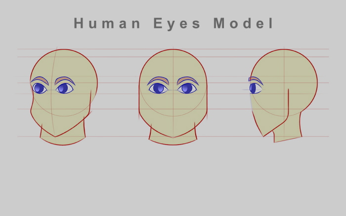 Human Face Model by mezo arts at Coroflot.com
