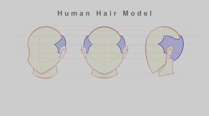 Human Hair Model by mezo arts at Coroflot.com
