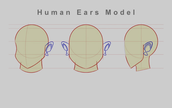 Human Face Model by mezo arts at Coroflot.com