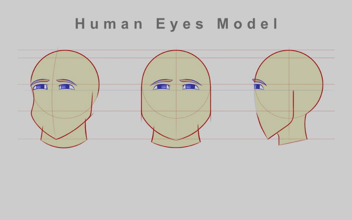 Human Face Model by mezo arts at Coroflot.com