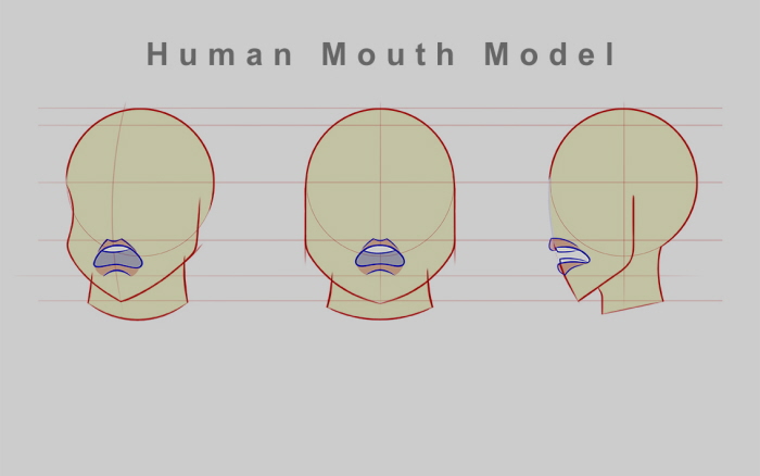 Human Face Model by mezo arts at Coroflot.com
