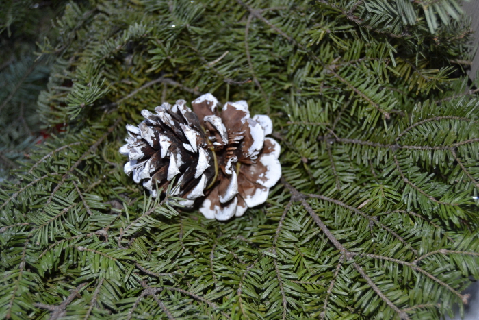 An upload by Grace Ross on Coroflot: to the project Homage Shoot