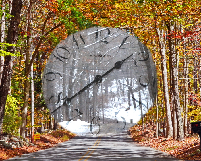 An upload by Rachel Rippey on Coroflot: to the project surreal 1