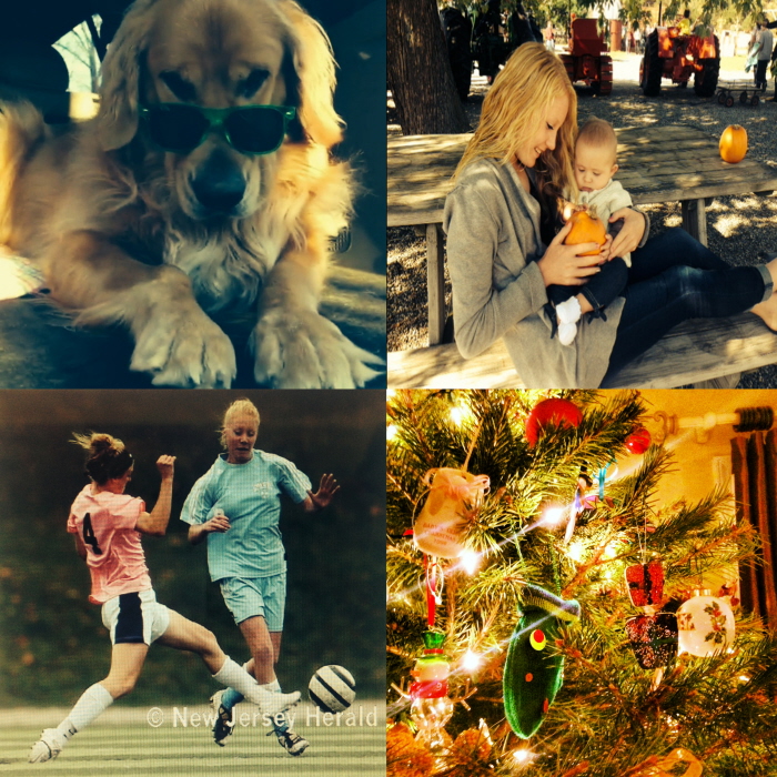 cell art collage by Brooke Rossiter at Coroflot.com